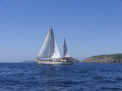 IWDG to accept offer of Haughey yacht, Celtic Mist | Irish Whale and ...